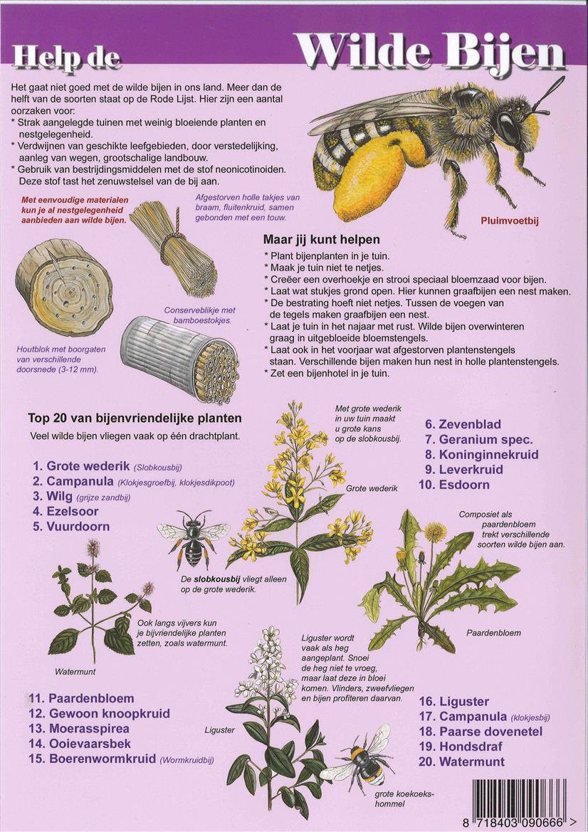 Edukaart Wilde Bijen - Het Bijenhuis